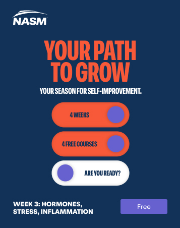 Proper Pushup Form and Technique | NASM Guide to Push-Ups